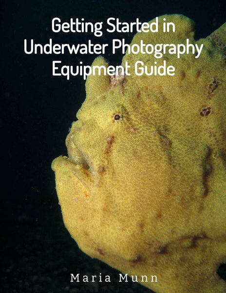 Getting Started with Underwater Photography Equipment Guide – The Ocean ...